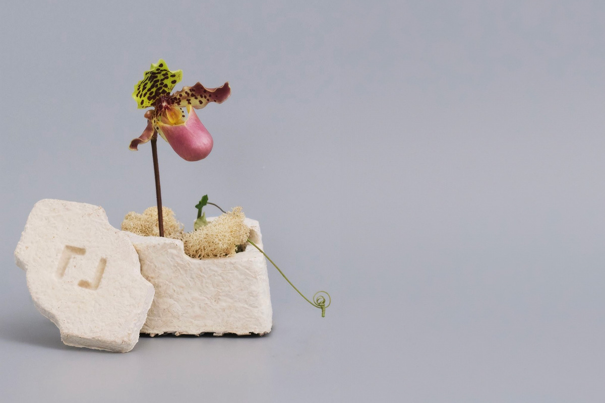 June 2024 - Nascentdesign